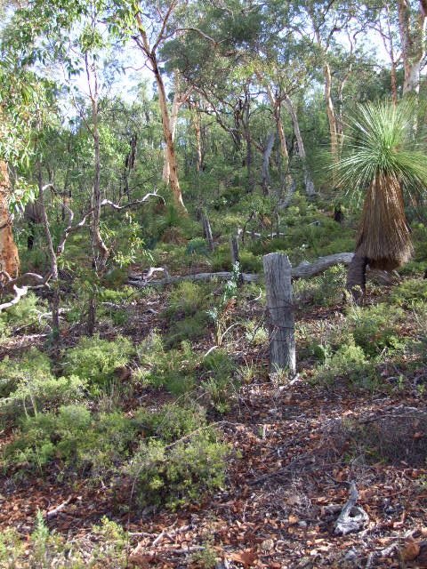 A Beginners’ Guide to Natural History in the Perth Hills, February ...