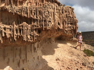 Finding Fossils is Fun | Western Australian Naturalists Club
