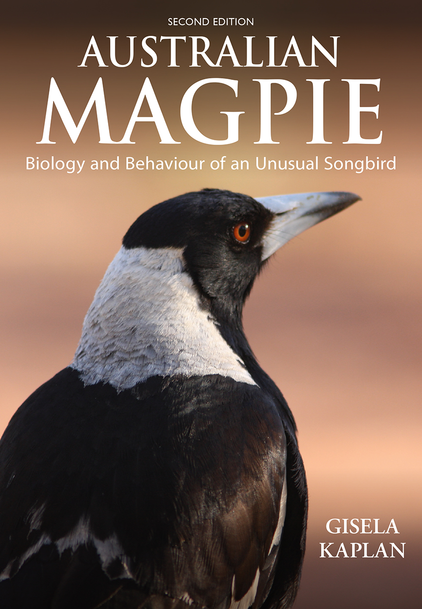 Australian Magpie¦Biology and Behaviour of an Unusual Songbird¦BOOK ...