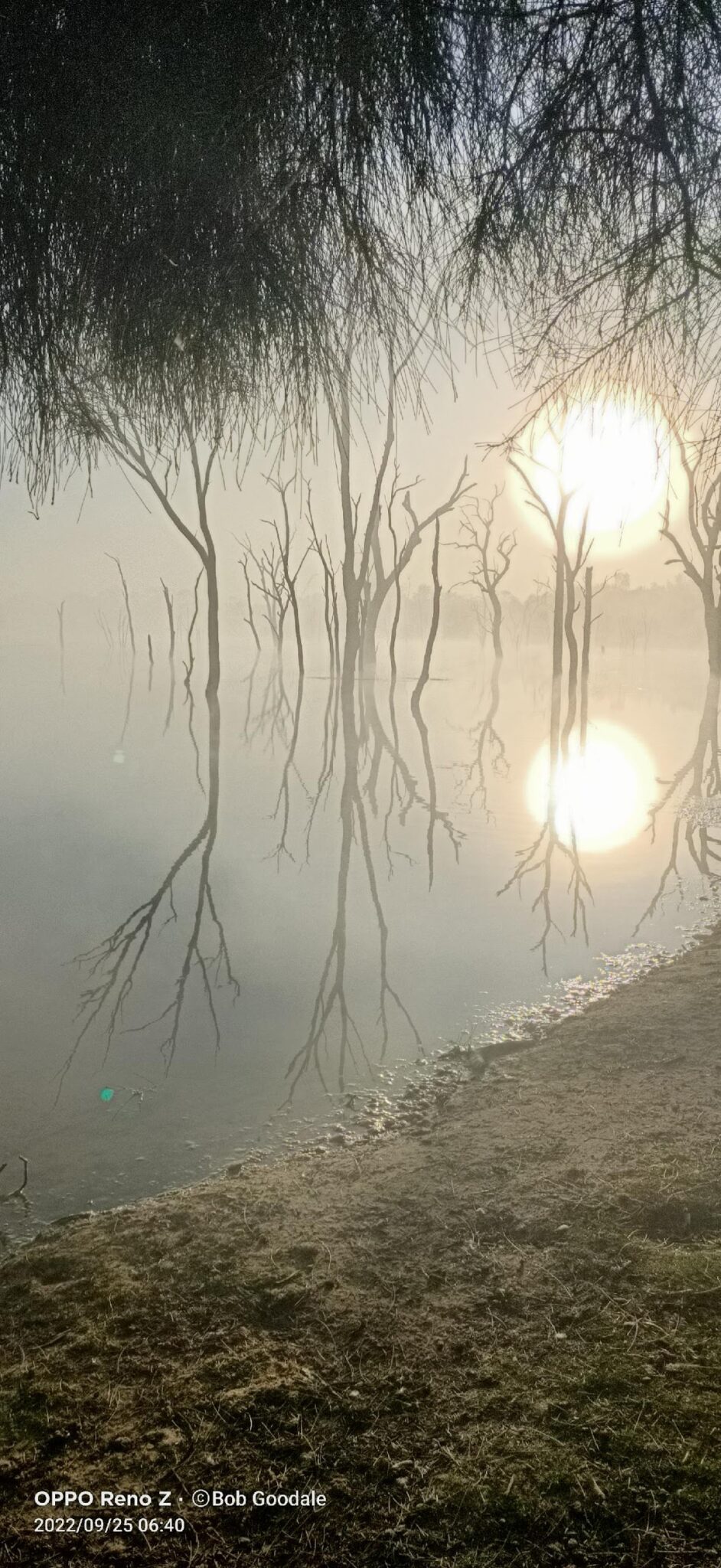Boshack¦A Weekend with KRM Branch | Western Australian Naturalists Club