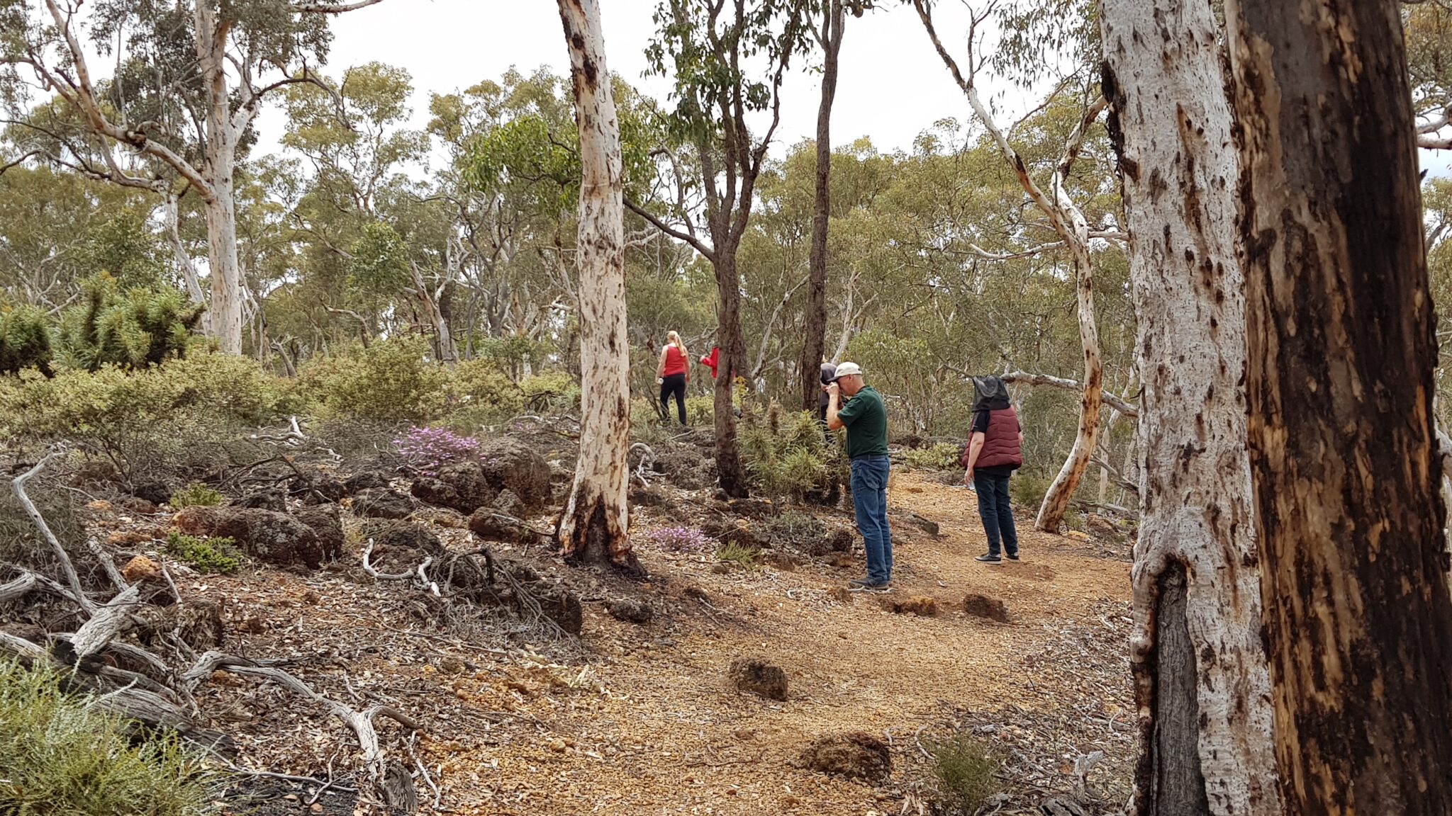 Centenary Excursion to Dryandra National Park | Western Australian ...