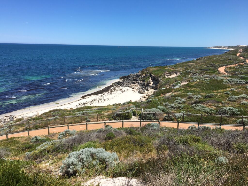 BEACHCOMB AND SNORKEL : ILUKA BEACH | Western Australian Naturalists Club