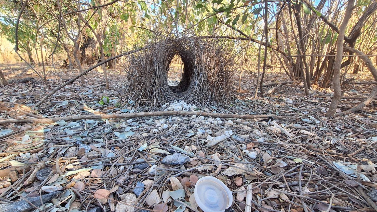NSB AGM and Annual Photo Competition | Western Australian Naturalists Club